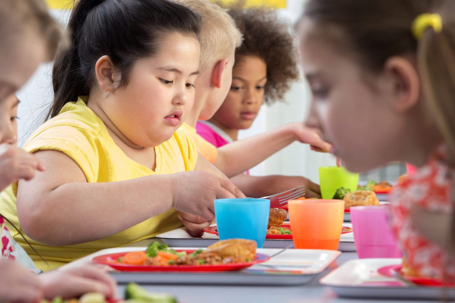 Obesity In Children Obesity In Children
